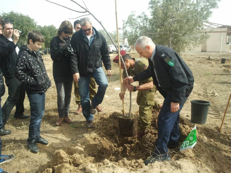 Tu Bishvat guide 2026: How to celebrate the Jewish New Year for the ...