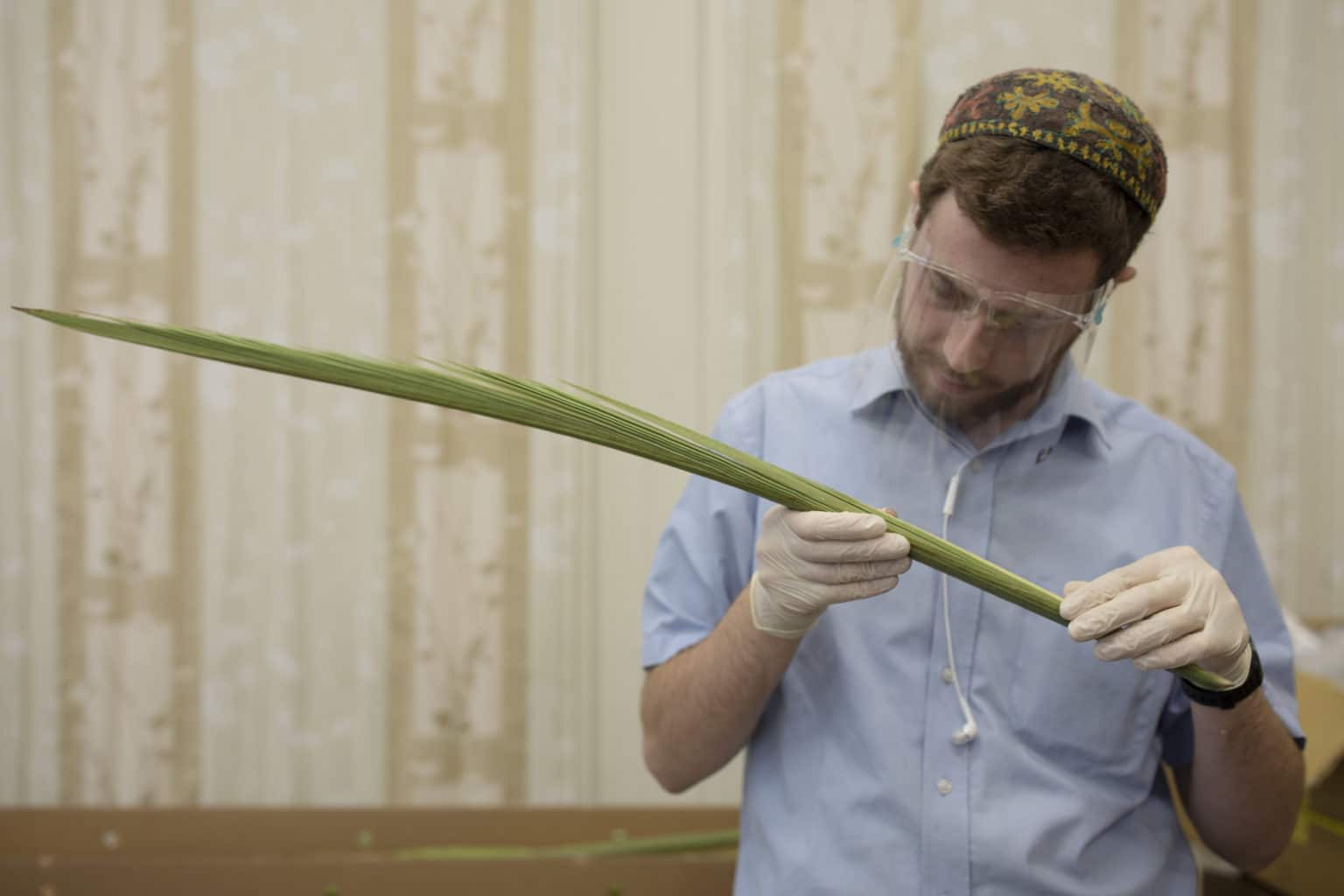 Sukkot Guide 2025: How and when to celebrate the Jewish harvest holiday ...