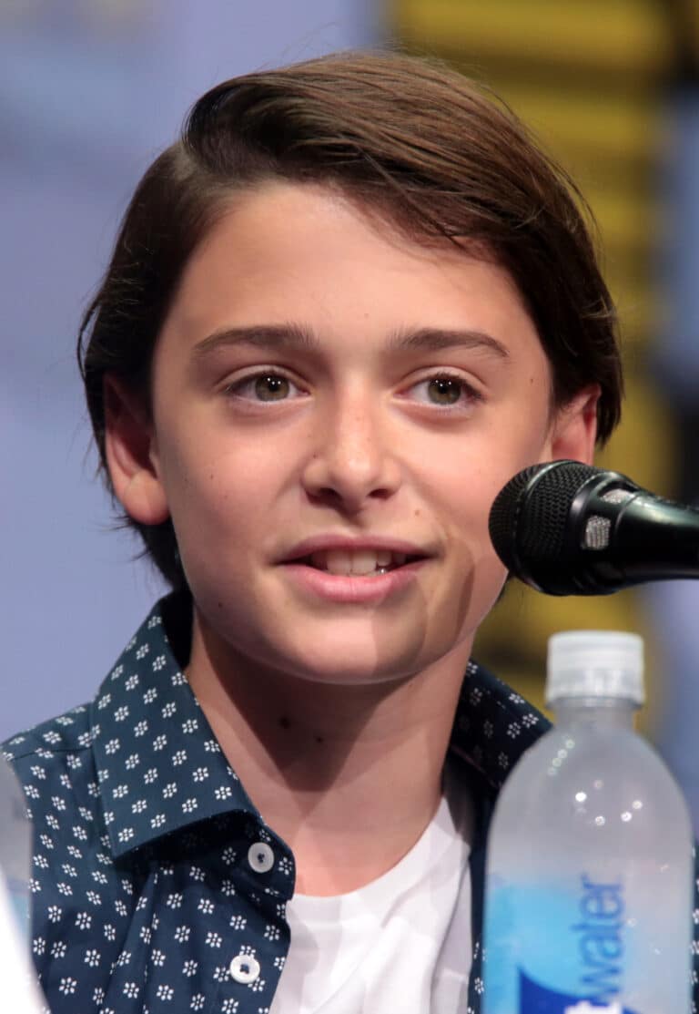 Is Noah Schnapp Jewish? - Unpacked