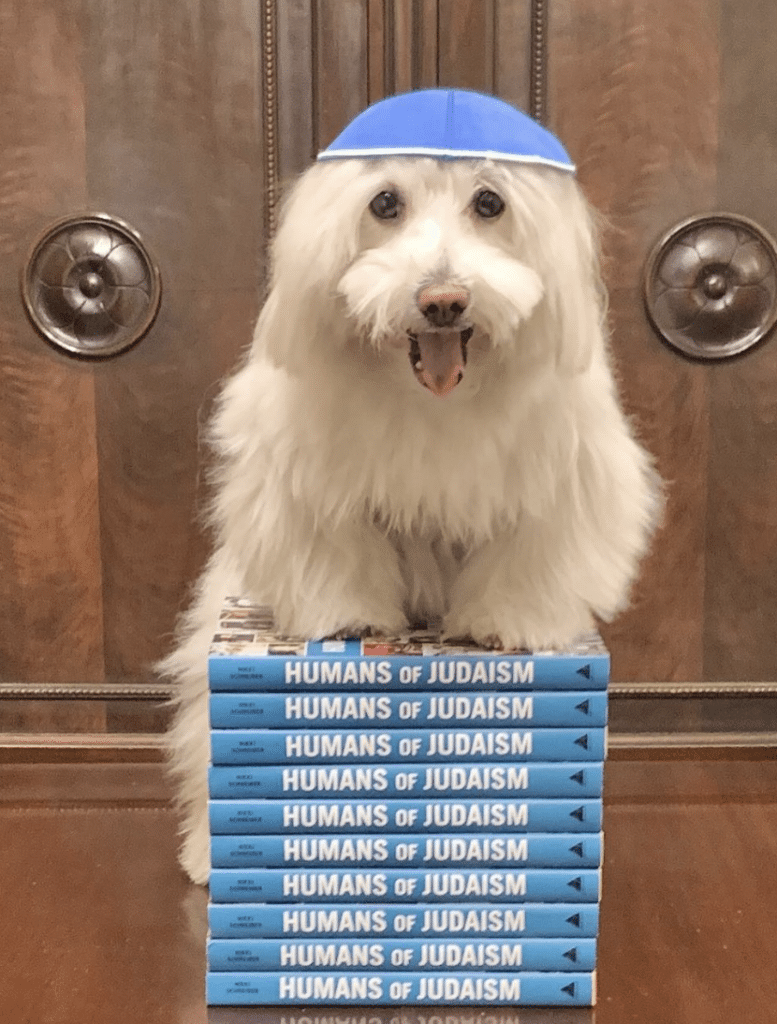 ‘Humans of Judaism’ tells the modern story of Jewish life in new book